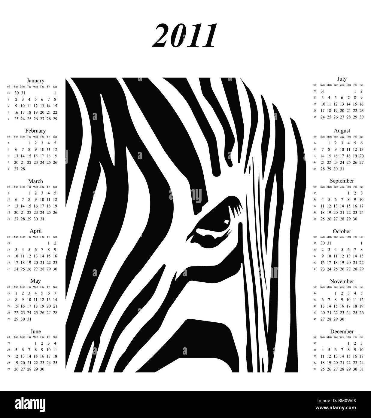 Vector of 2011 calendar with abstract zebra theme Stock Photo - Alamy