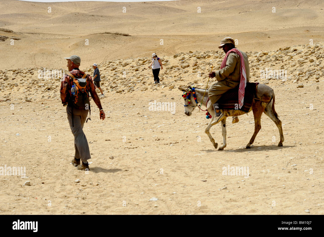 Donkey pyramid giza egypt hi-res stock photography and images - Alamy