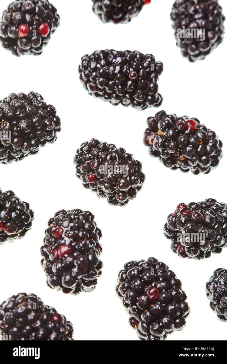 blackberries isolated on a pure white background Stock Photo - Alamy