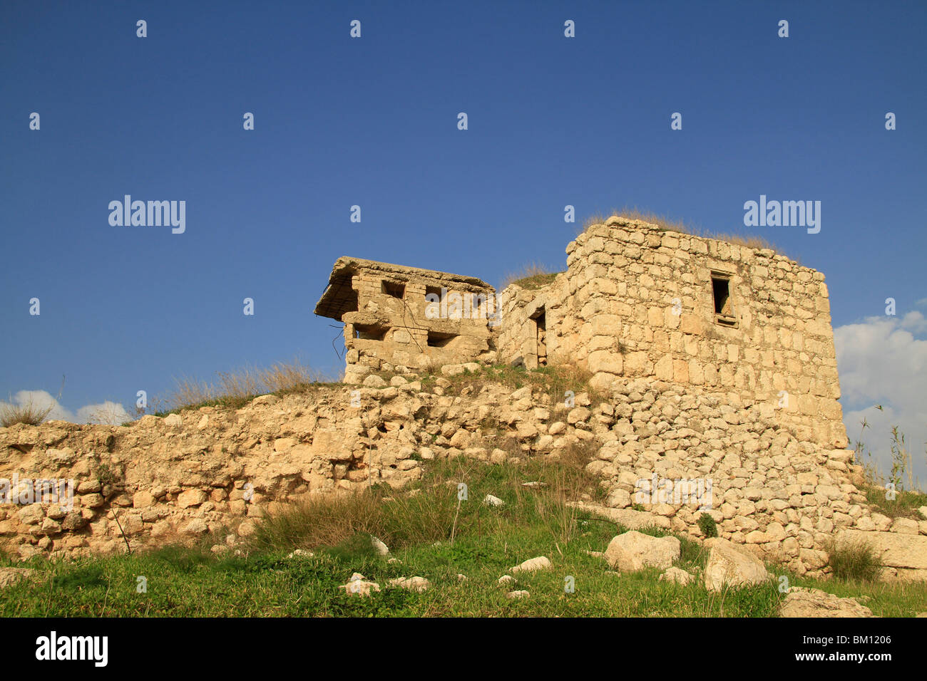 Israel, Shephelah, remains of the Crusader castle "Le toron des ...