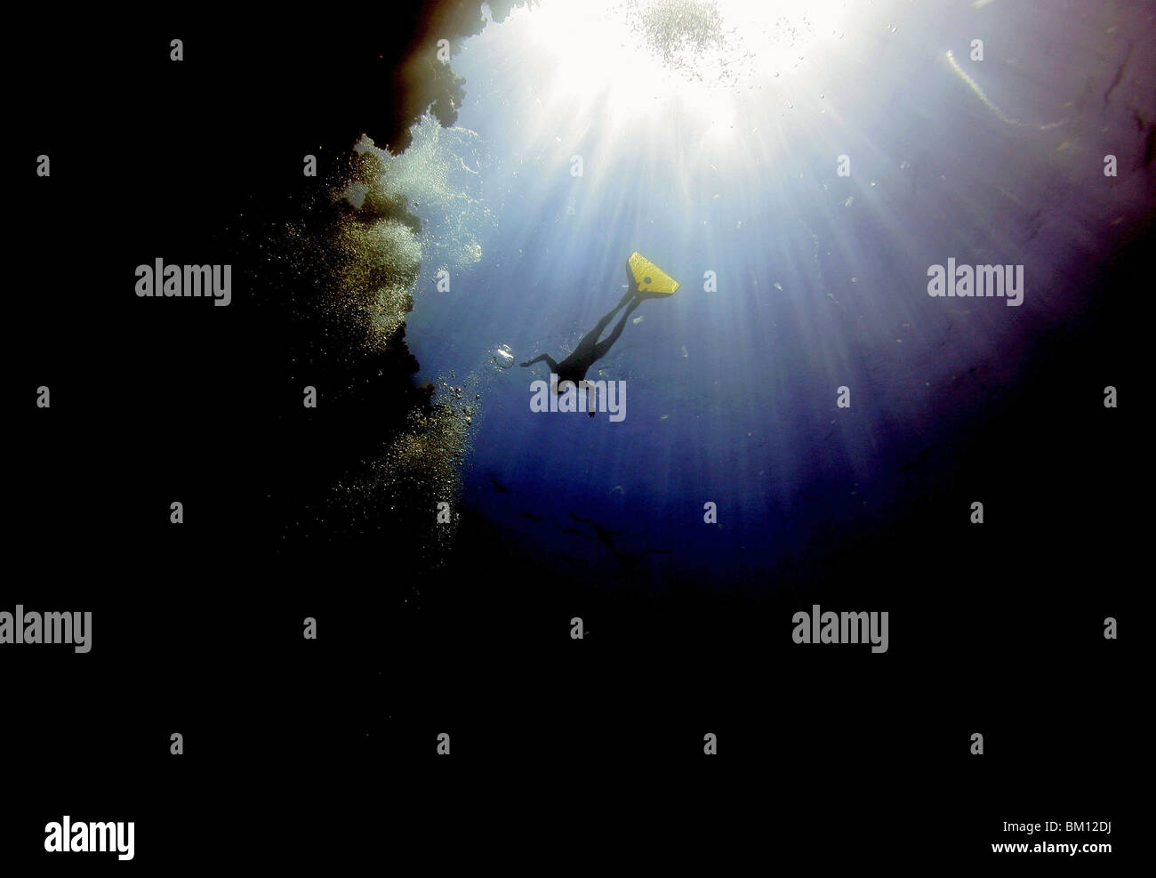 Carlos Coste from Venezuela practices for his world record freedive in ...