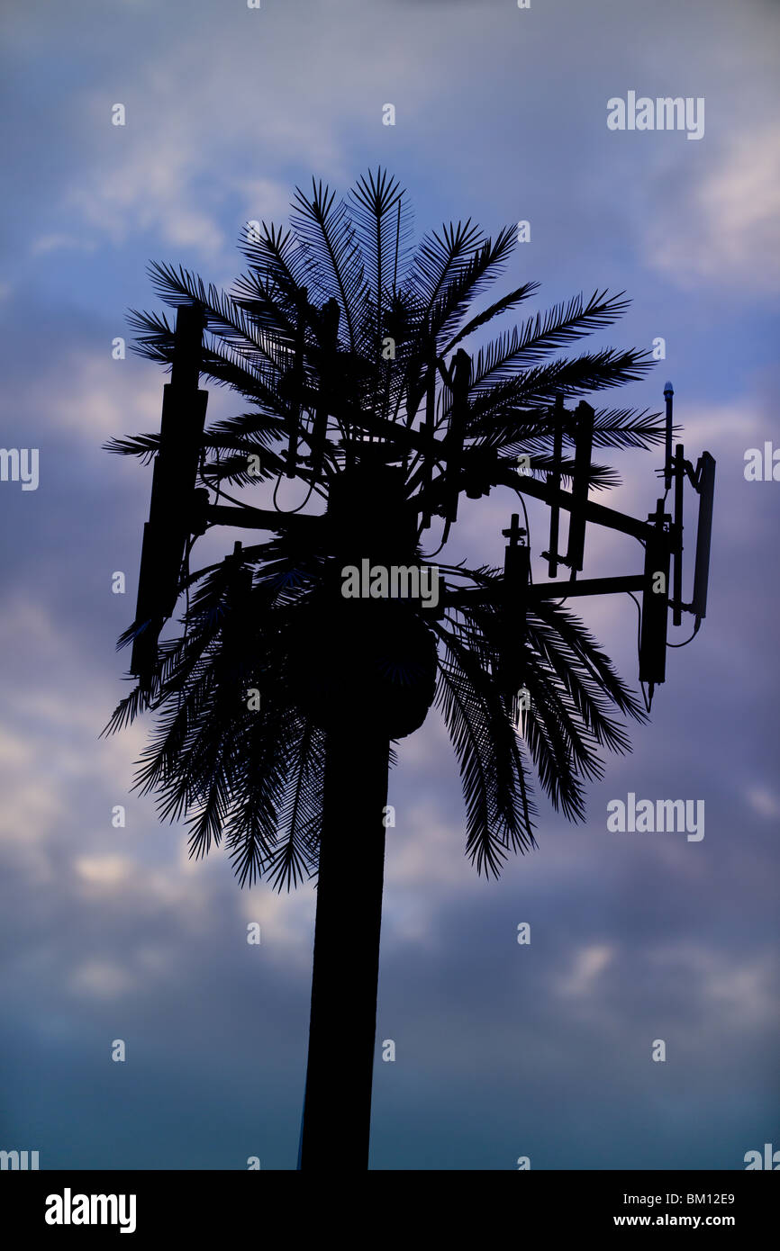Cell tower tree High Resolution Stock Photography and Images - Alamy