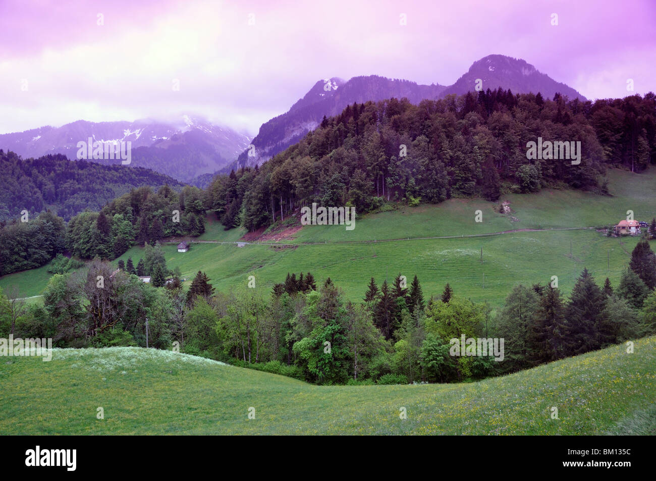 Switzerland swiss schweiz alps hill hills mountain mountains grass hi ...
