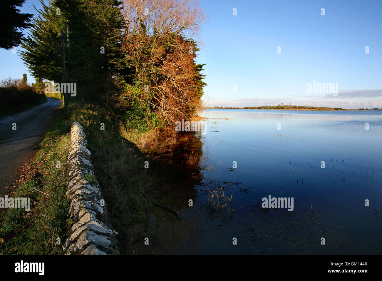 Strangford Lough, County Down, Northern Ireland on a sunny winter ...