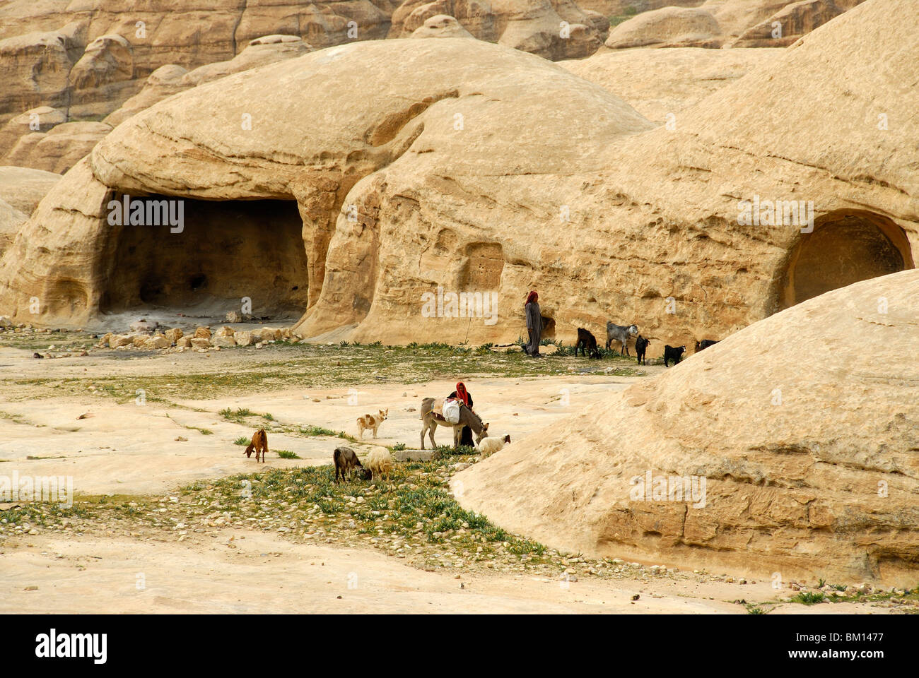 Bedouin, Jordan, Middle East Stock Photo - Alamy