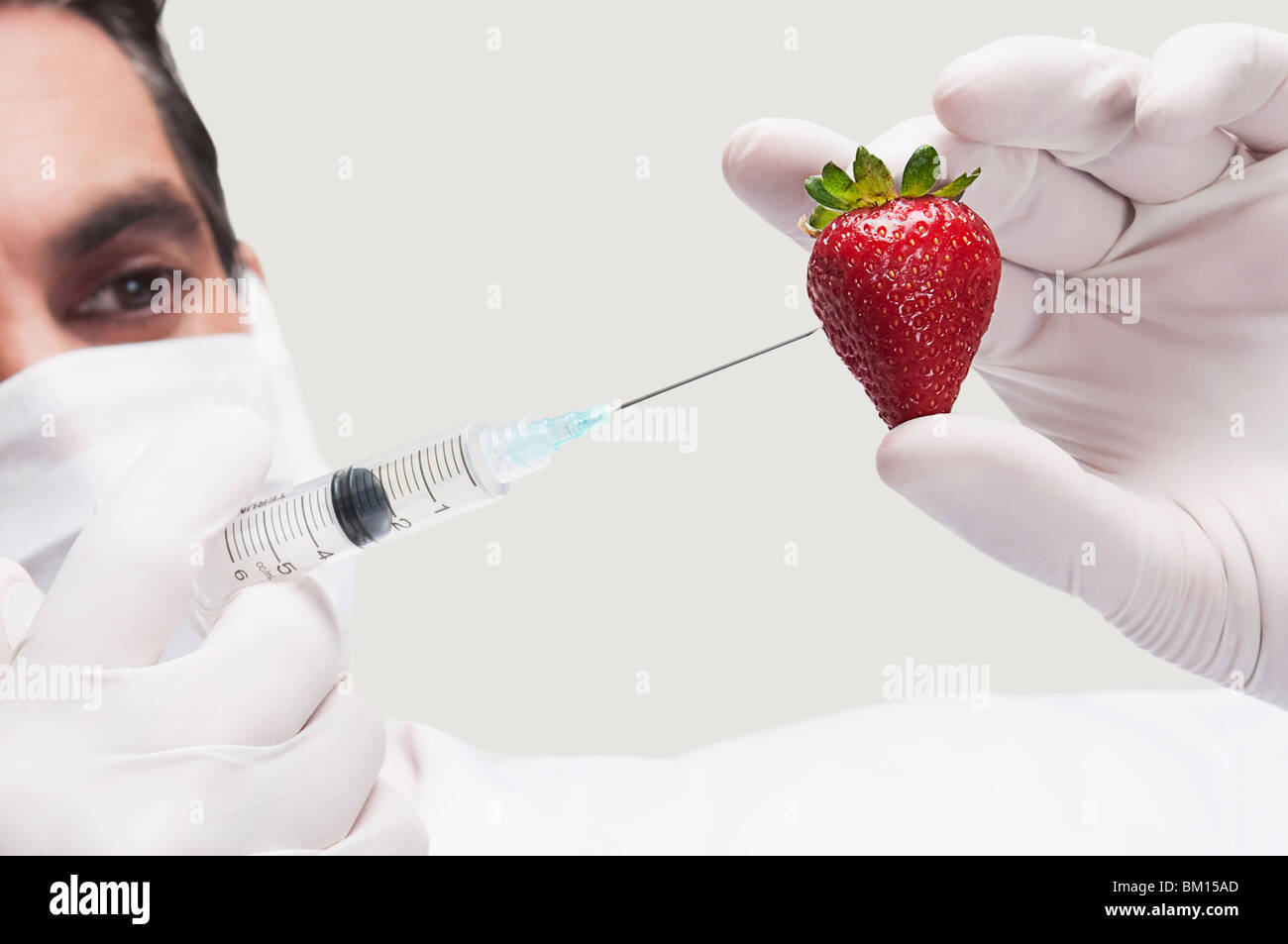 Lab technician injecting into a strawberry Stock Photo - Alamy