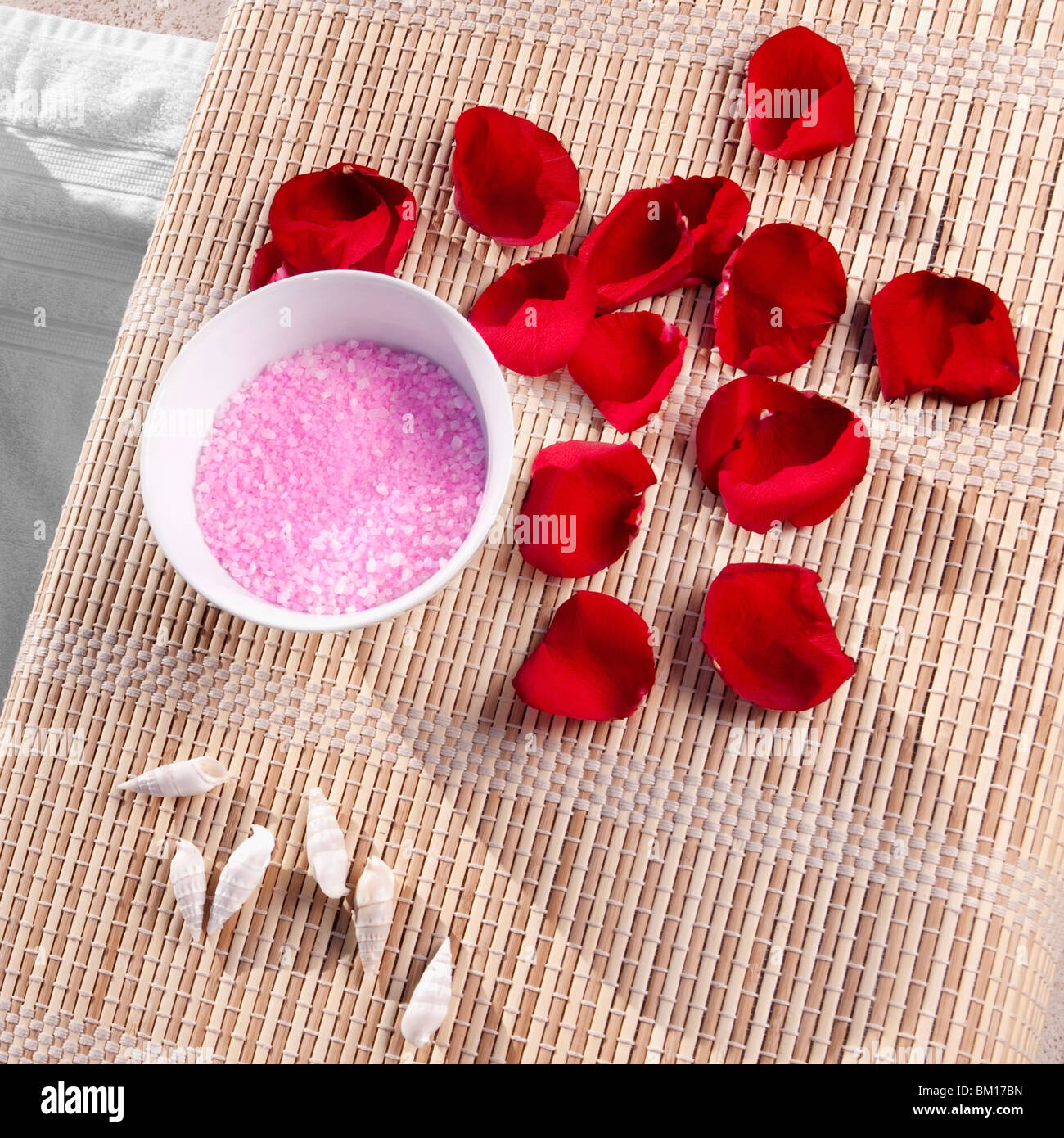 Seashell rose hi-res stock photography and images - Alamy