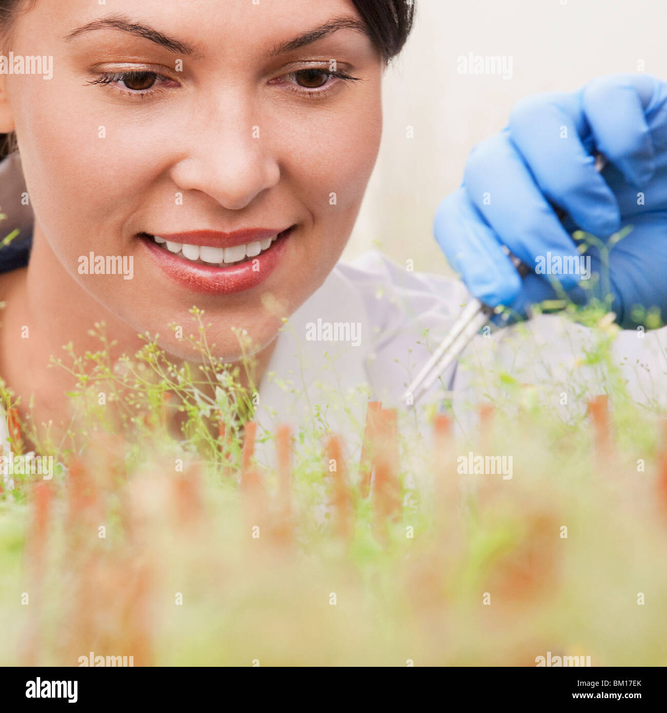Female scientist researching on plants hi-res stock photography and ...