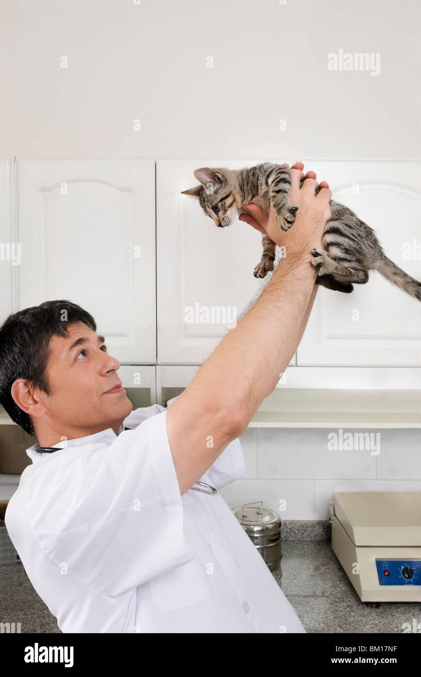 Vet scale hi-res stock photography and images - Alamy