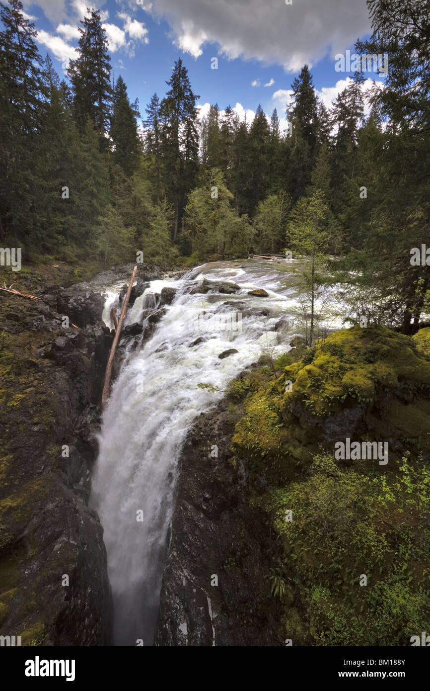 Englishman river falls provincial park hi-res stock photography and ...