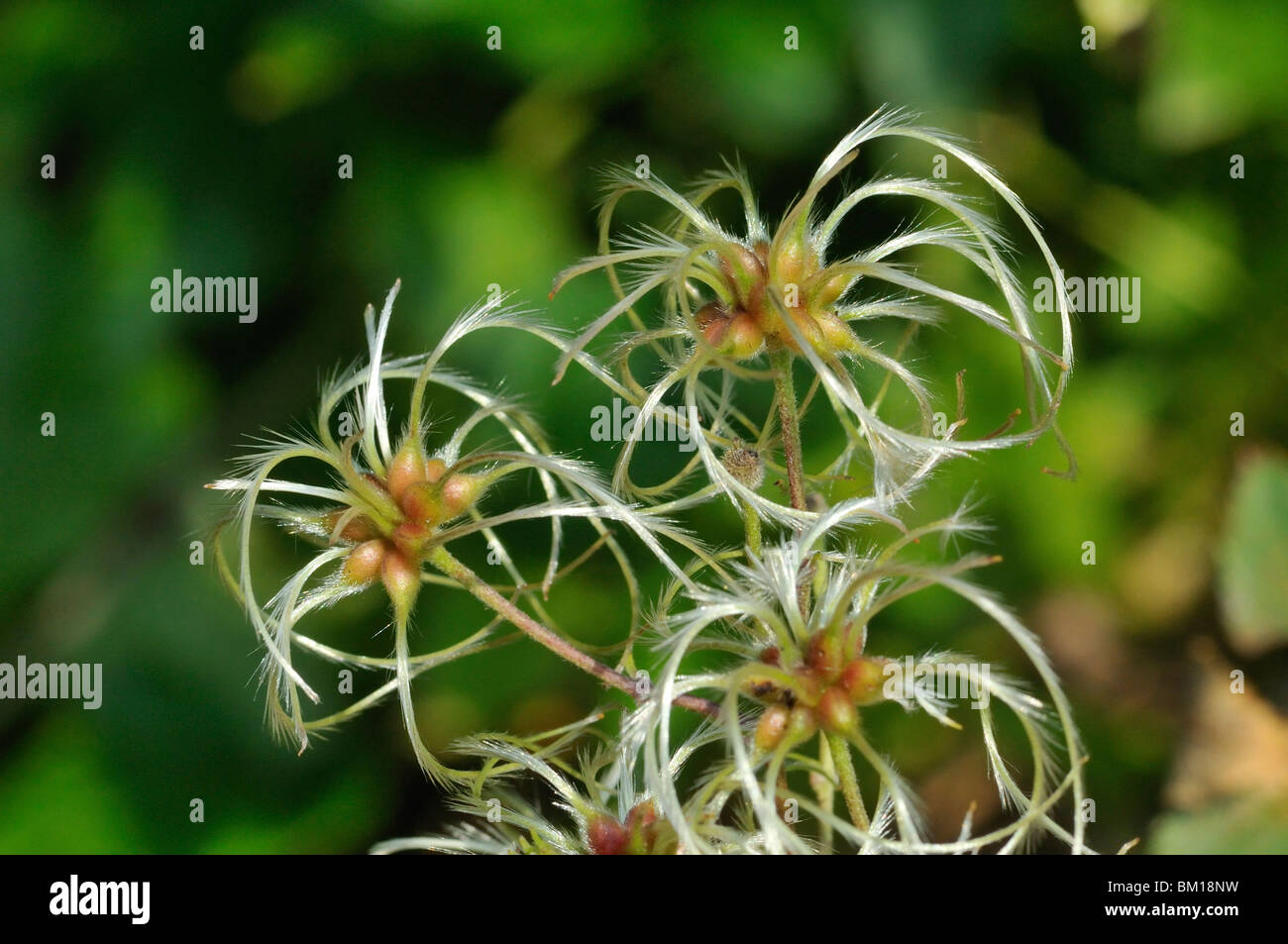 Spontaneous hi-res stock photography and images - Alamy