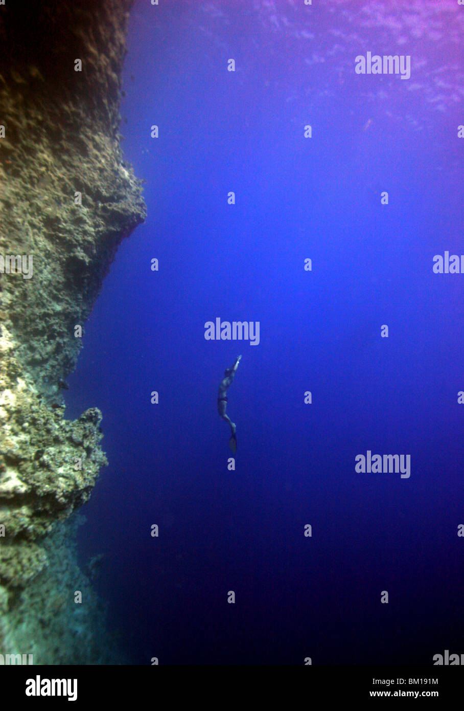 Carlos Coste from Venezuela practices for his world record freedive in ...