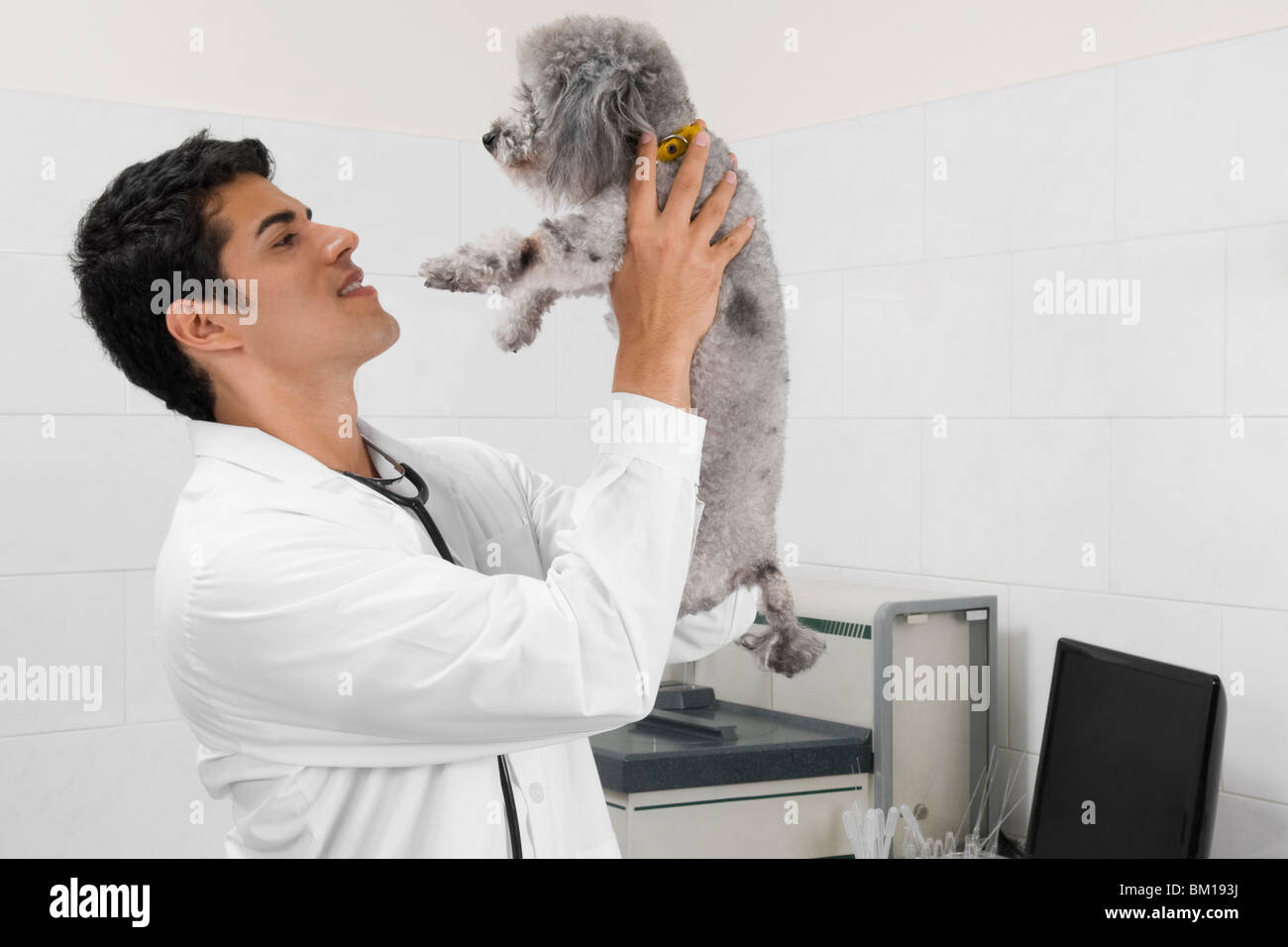 Vet Carrying Dog High Resolution Stock Photography and Images - Alamy