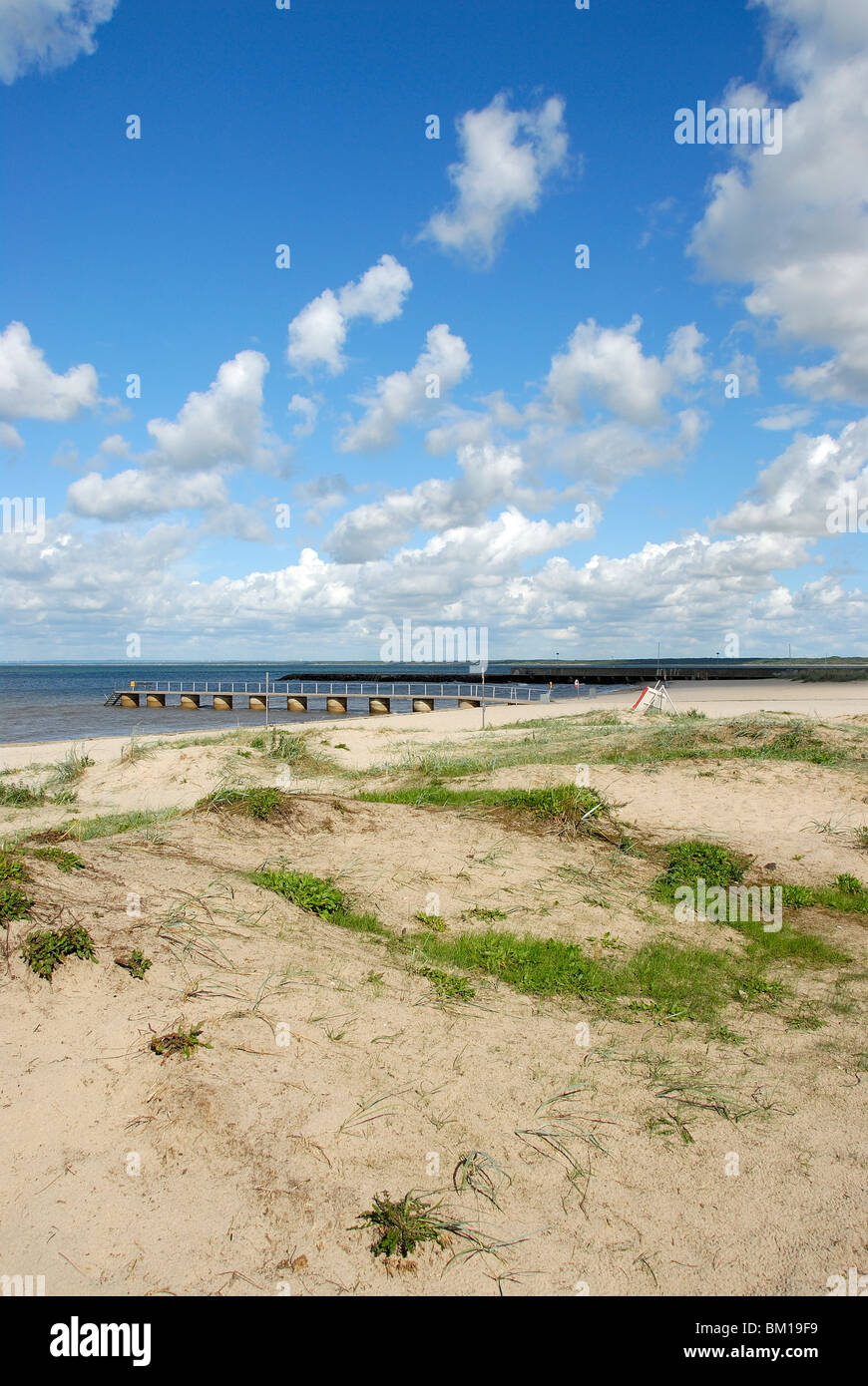 Beach, Bastad, Sweden, Scandinavia, Europe Stock Photo - Alamy