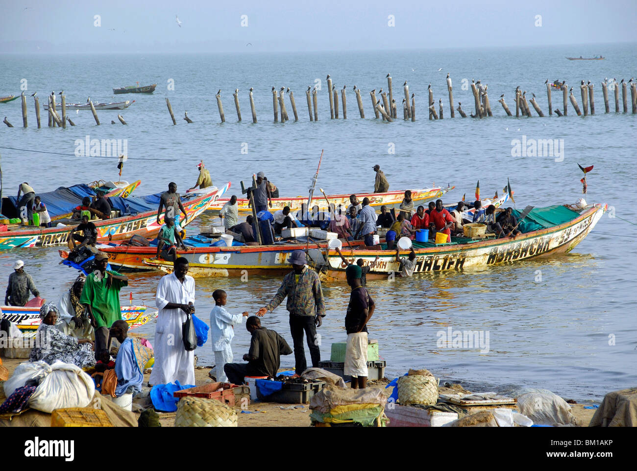 Fishmarket at port, M'Bour, Republic of Senegal, Africa Stock Photo - Alamy