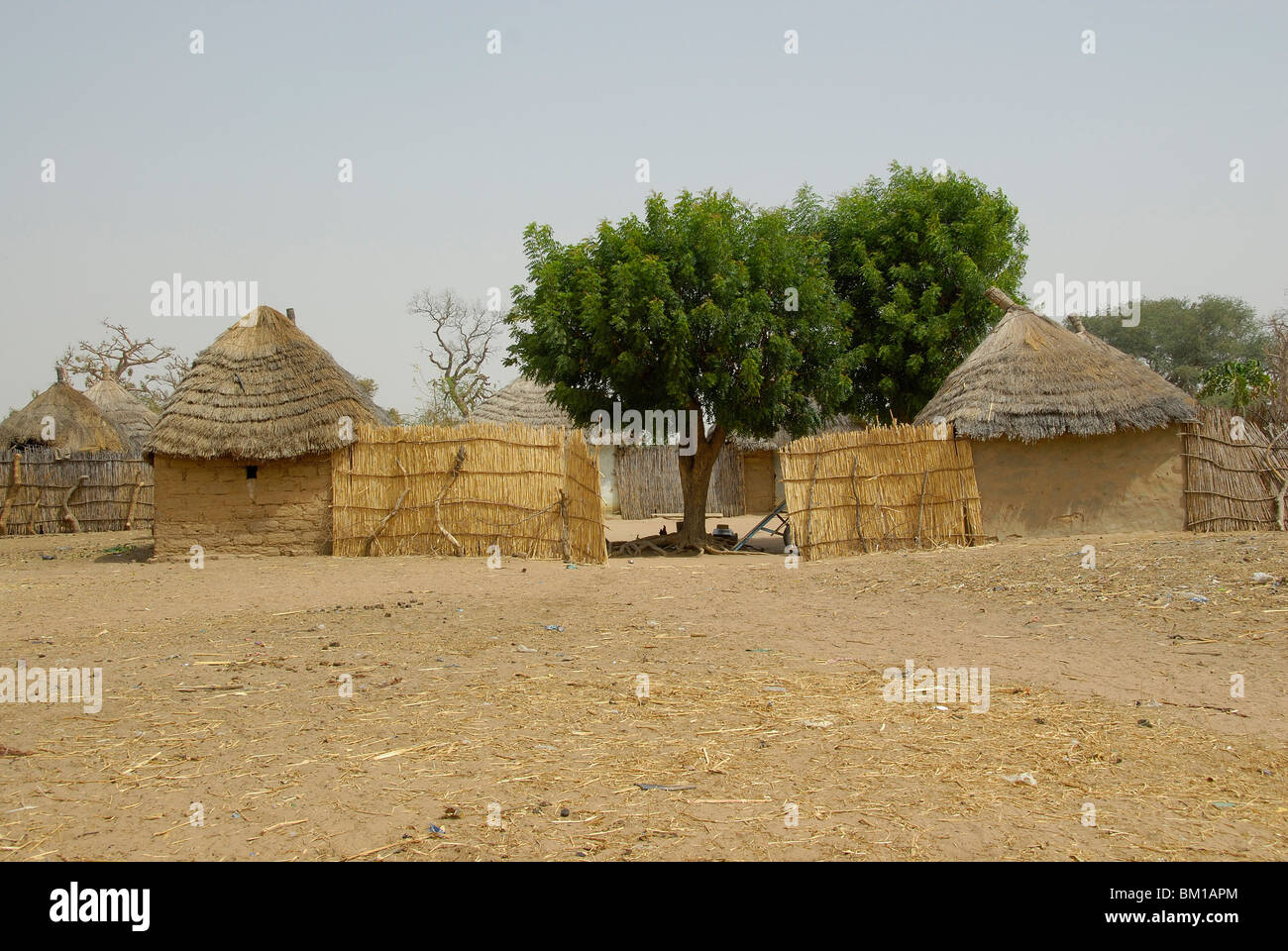 Fula Senegal High Resolution Stock Photography and Images - Alamy