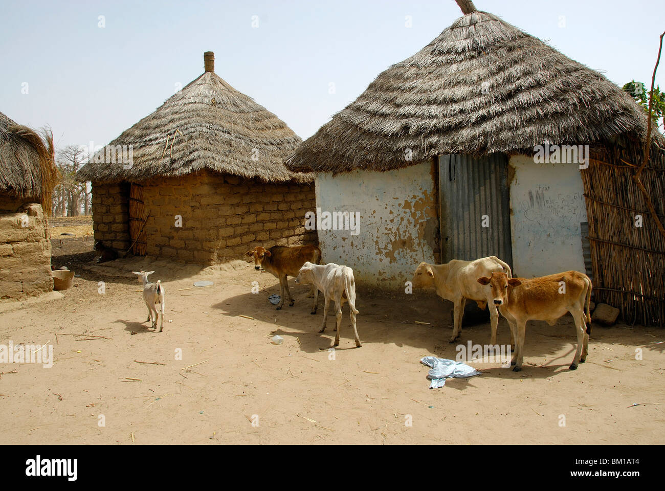 Fula senegal hi-res stock photography and images - Alamy