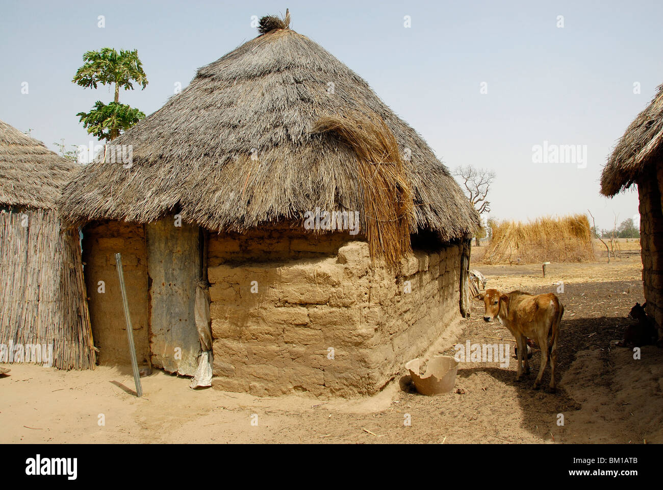 Fula senegal hi-res stock photography and images - Alamy