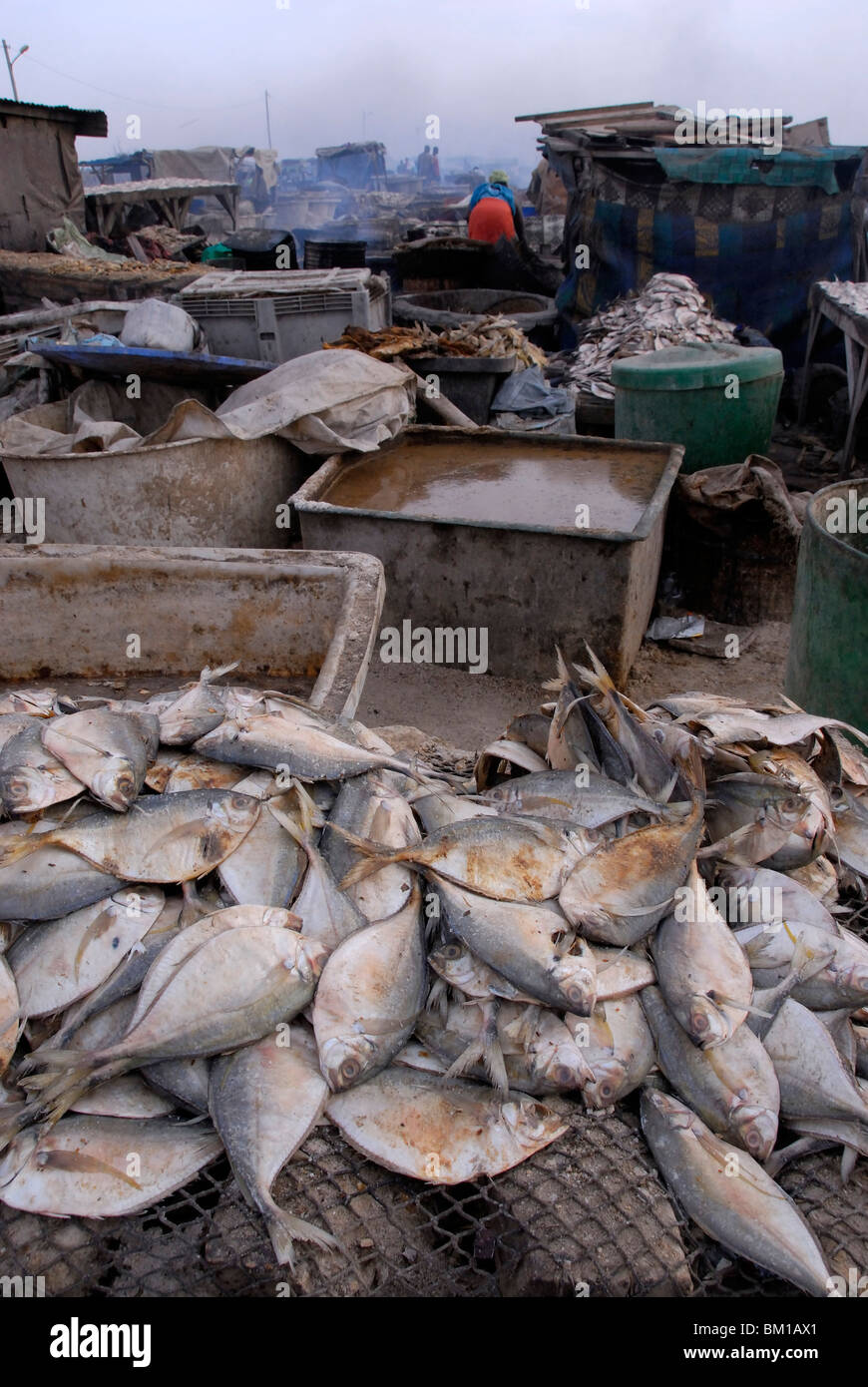 Fish processing, Saint-Louis, Republic of Senegal, Africa Stock Photo ...