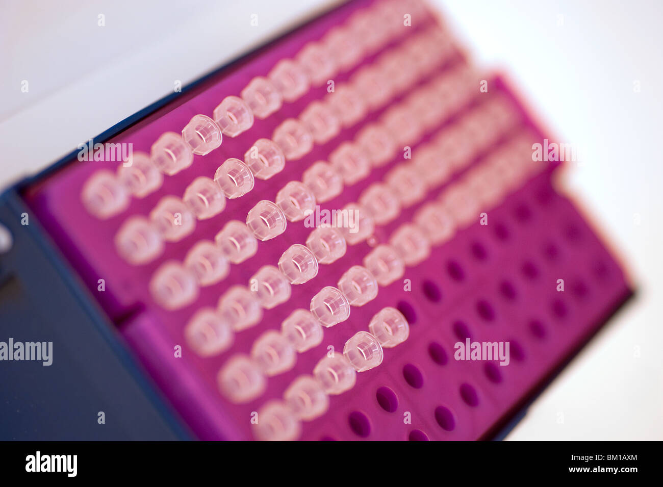 Pipet tips on a tray Stock Photo - Alamy