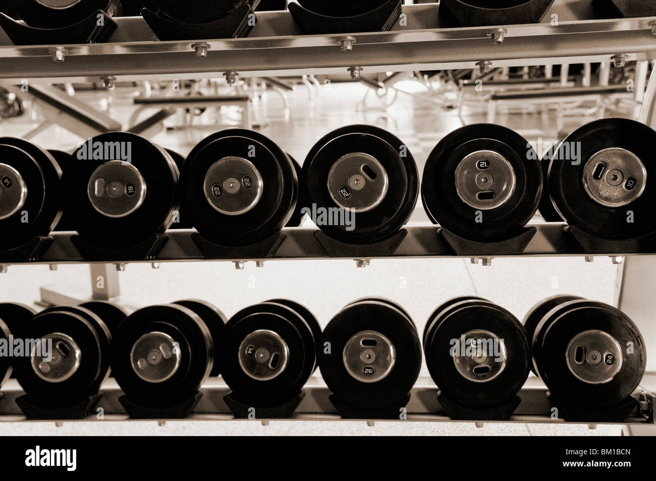Barbells in a gym Stock Photo - Alamy