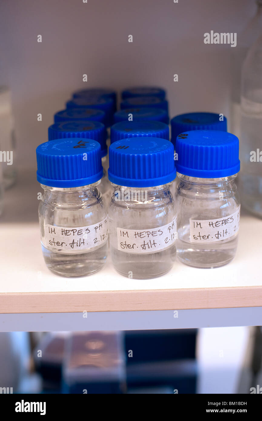 Pyrex High Resolution Stock Photography and Images - Alamy