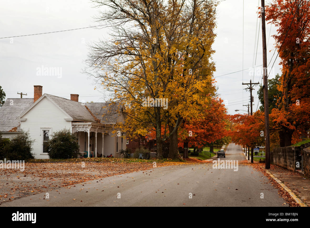 Countryside neighborhood in the fall season country trees Stock Photo ...