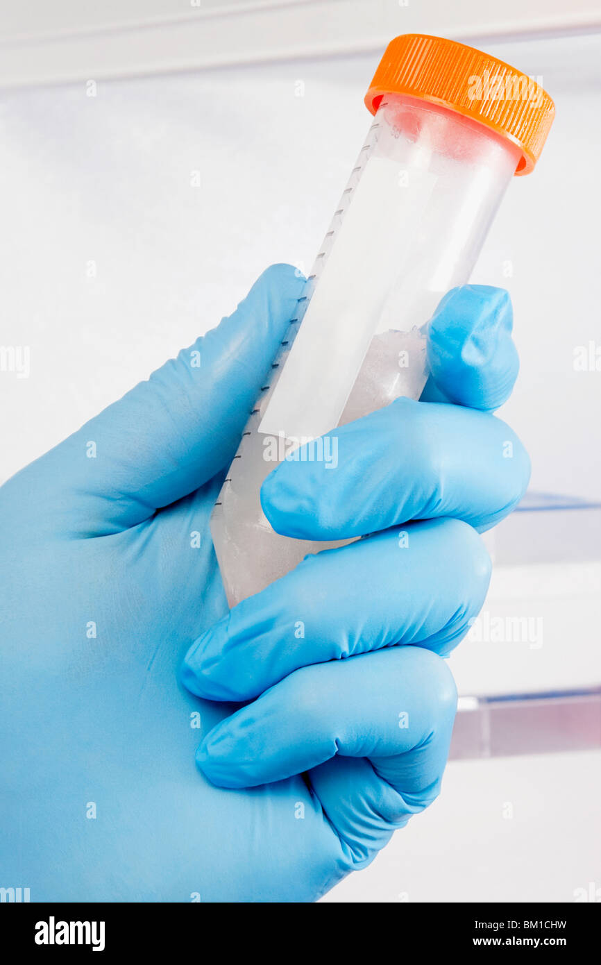 Doctor holding a medical sample in a laboratory Stock Photo - Alamy
