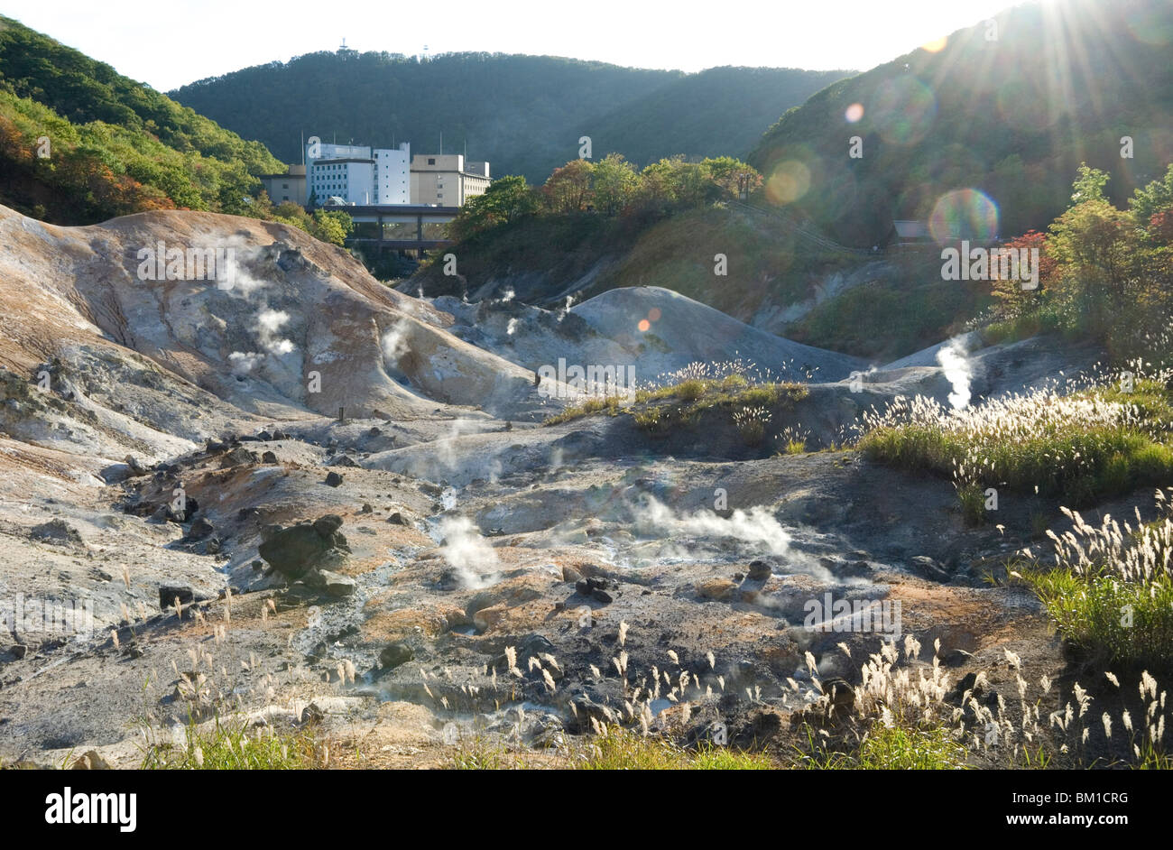 Steam vents in jigokudani geothermal hi-res stock photography and ...