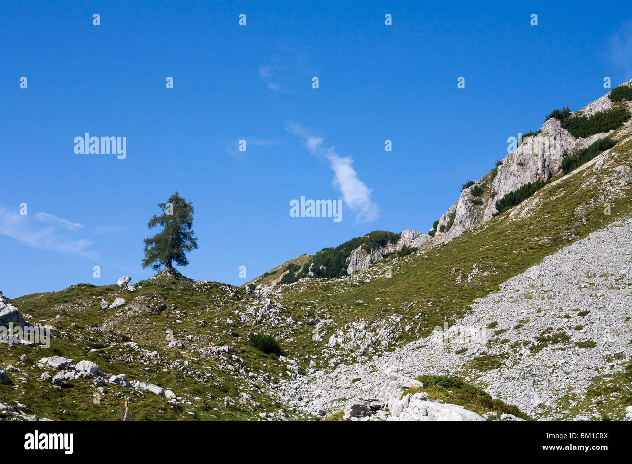 The Grigna or Grigna settentrionale mountain, Lecco, Lombardy, Italy ...