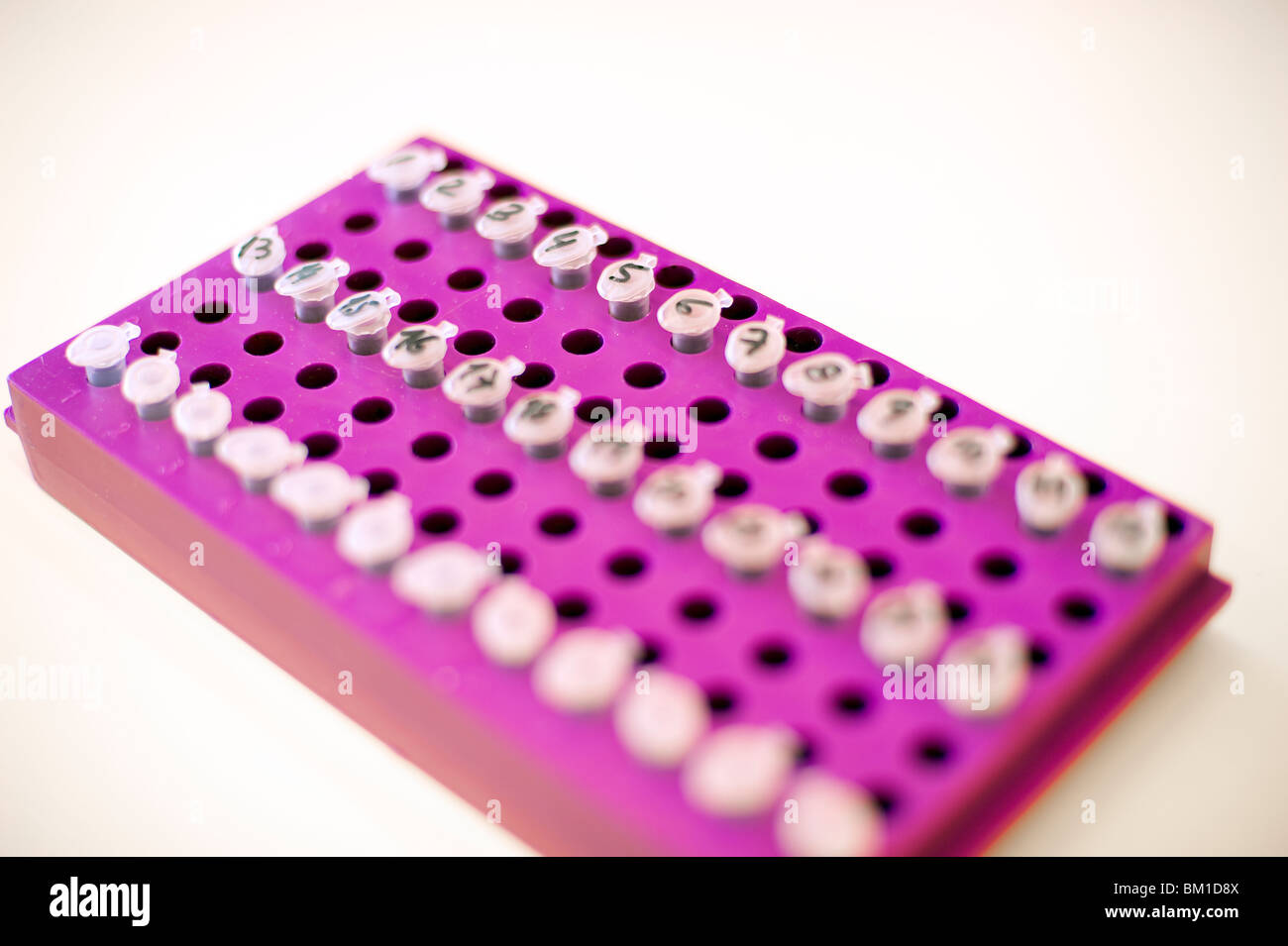 Pipet tips on a tray Stock Photo - Alamy