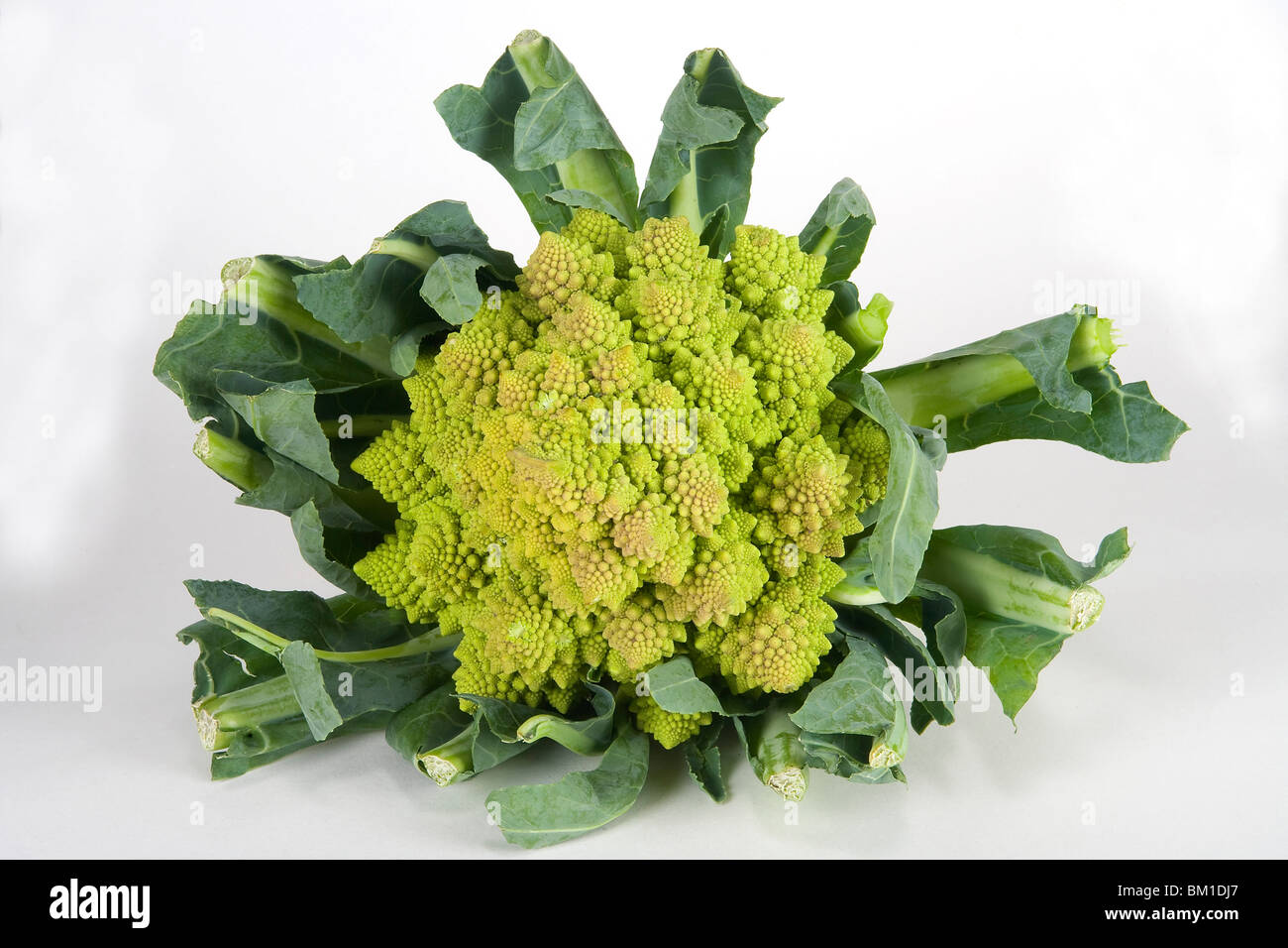Cavolo "Romanesco", cabbage Stock Photo - Alamy