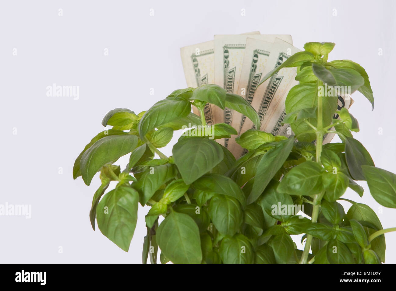 Making money grow savings hi-res stock photography and images - Alamy