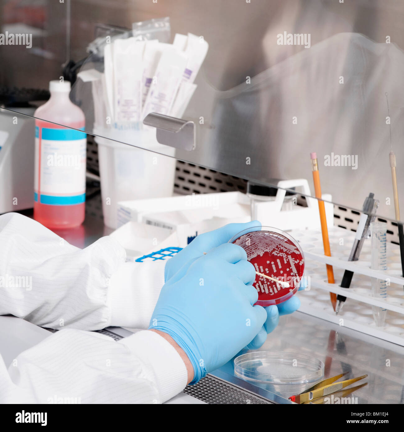 Doctor researching in a laboratory hi-res stock photography and images ...