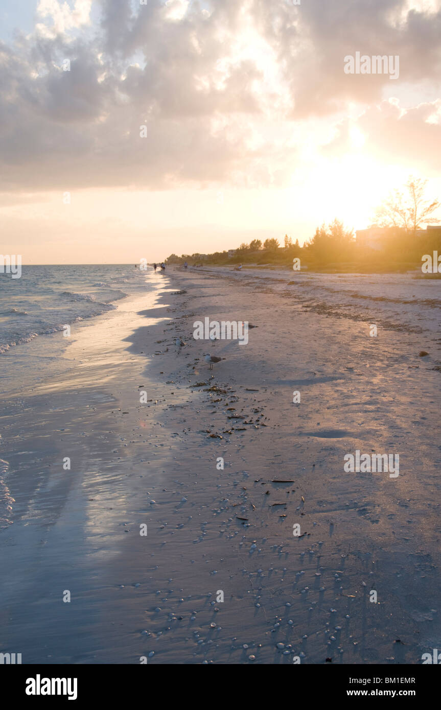 Sunset on beach, Sanibel Island, Gulf Coast, Florida, United States of ...