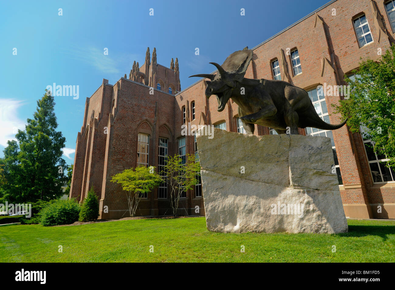 Peabody Museum, New Haven, Connecticut. Torosaurus Latus sculpture by ...