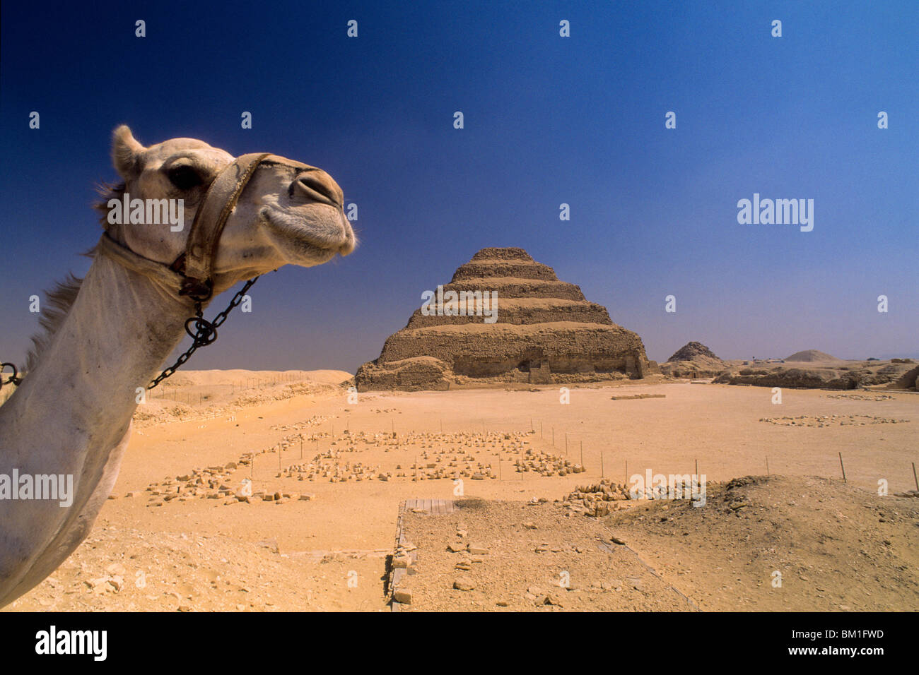 Archaeological site of Memphis stepped Pyramid, Saqqara, Egypt, North ...