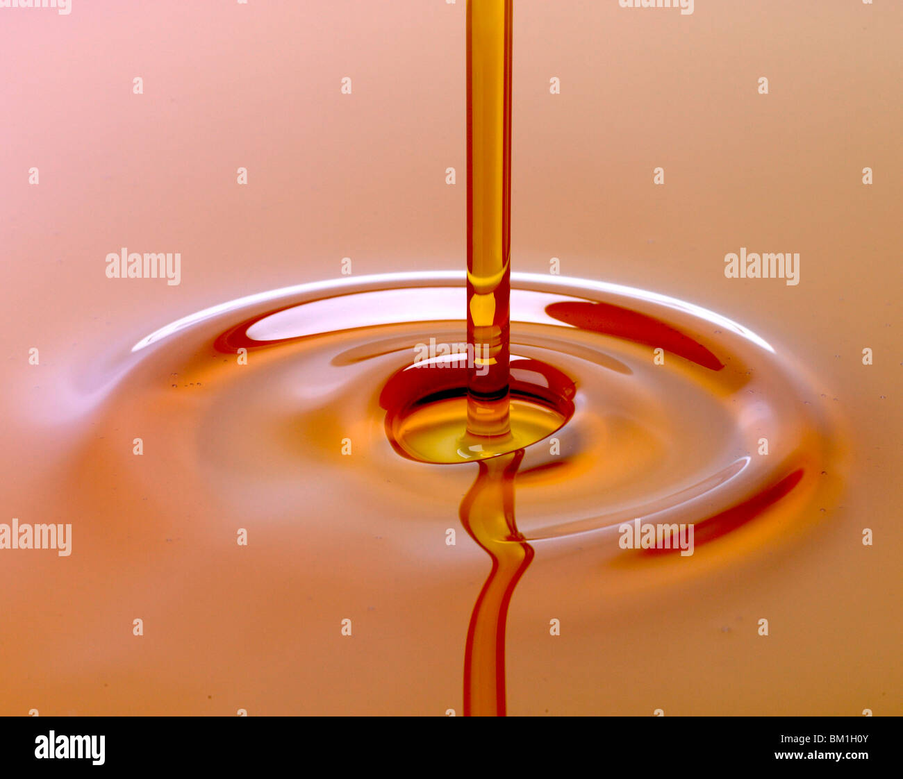 Conservation of oil hi-res stock photography and images - Alamy