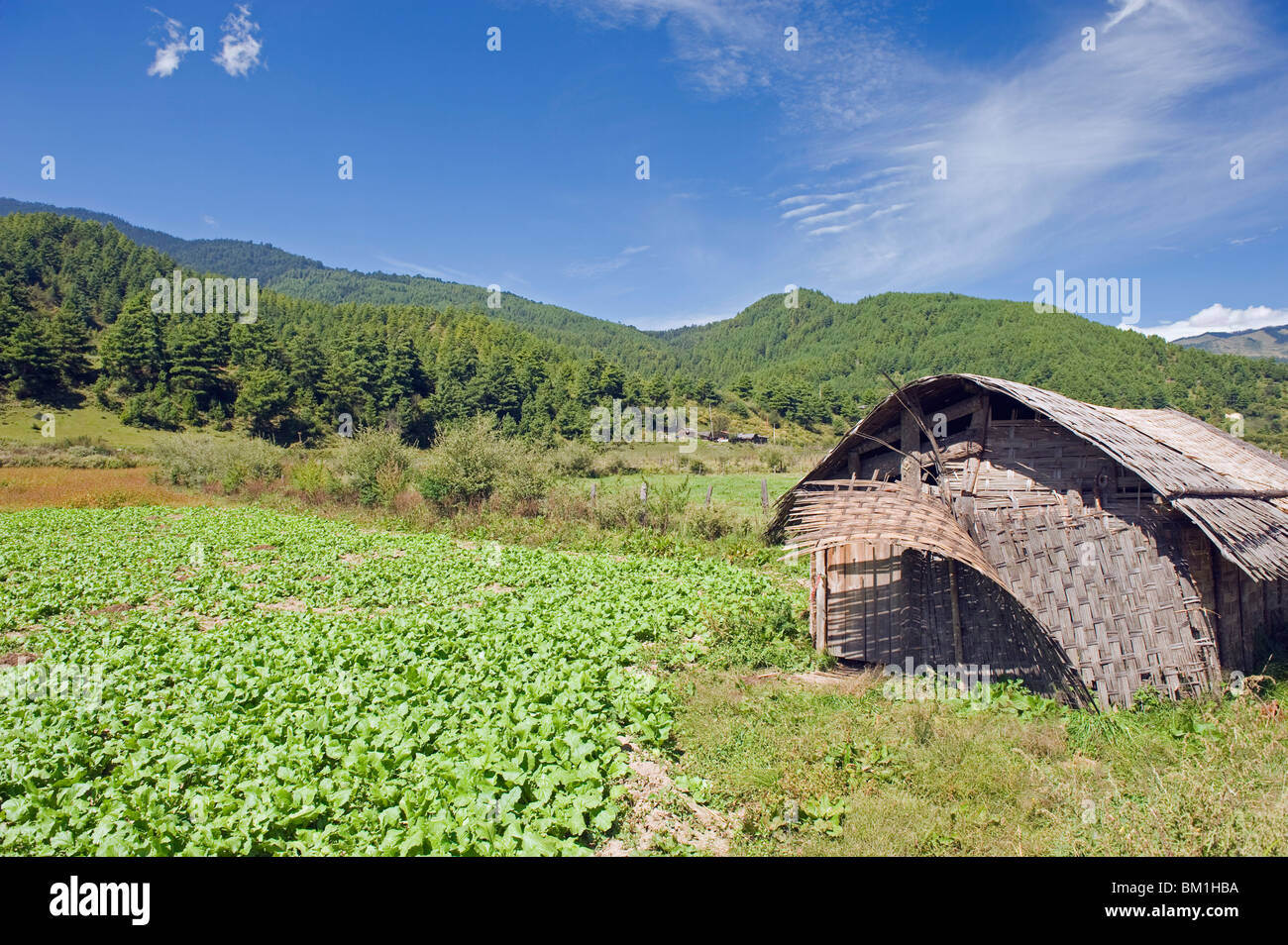 Bumthang chokor valley bhutan asia hi-res stock photography and images ...