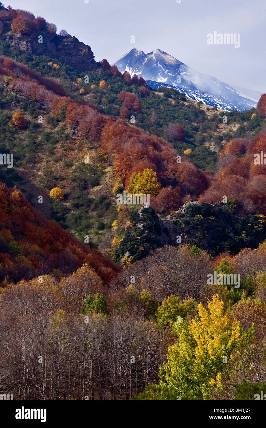 Etna Natural Park, Catania, Sicily, Italy, Europe Stock Photo - Alamy