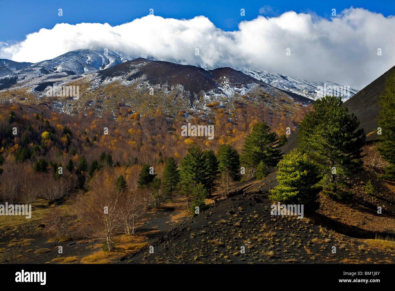 Sartorius mountain, Etna Natural Park, Catania, Sicily, Italy, Europe ...
