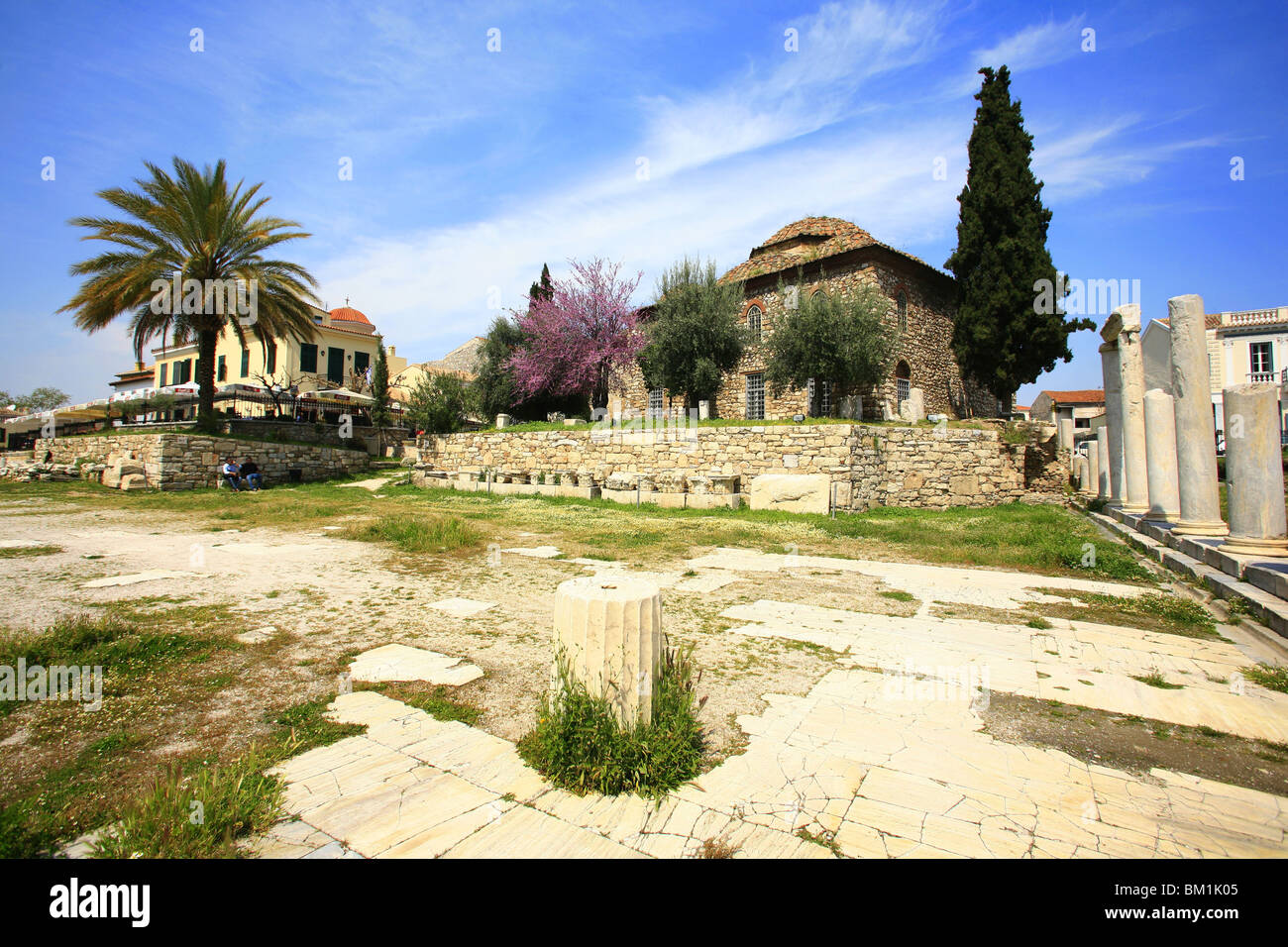 Athens tree hi-res stock photography and images - Alamy