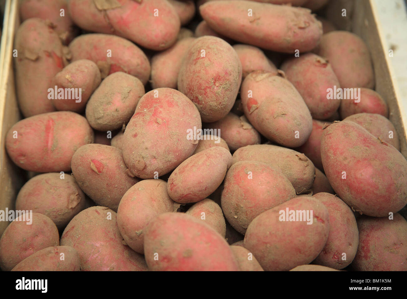 Roscoff market hi-res stock photography and images - Alamy