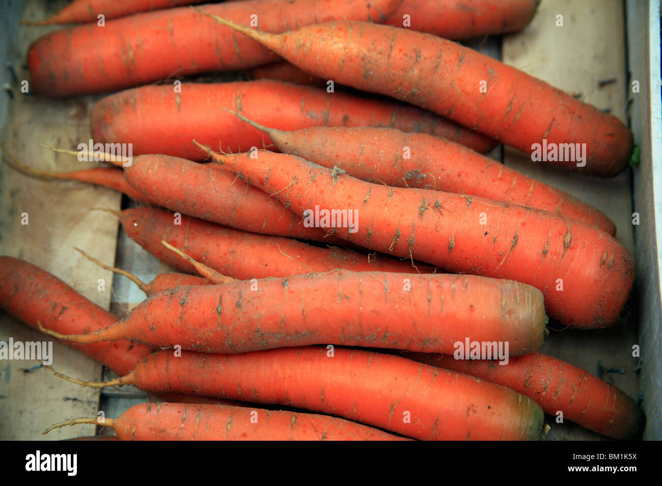 Roscoff market hi-res stock photography and images - Alamy