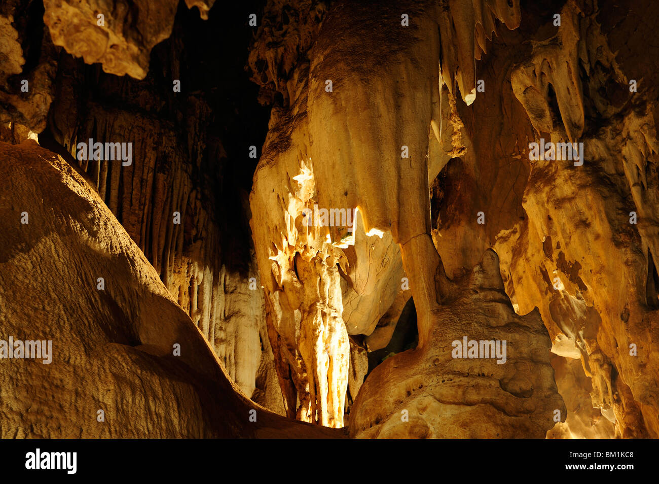 Echo In A Cave Devastating Loss Drives 'Pennsylvania Hermit' To Spend