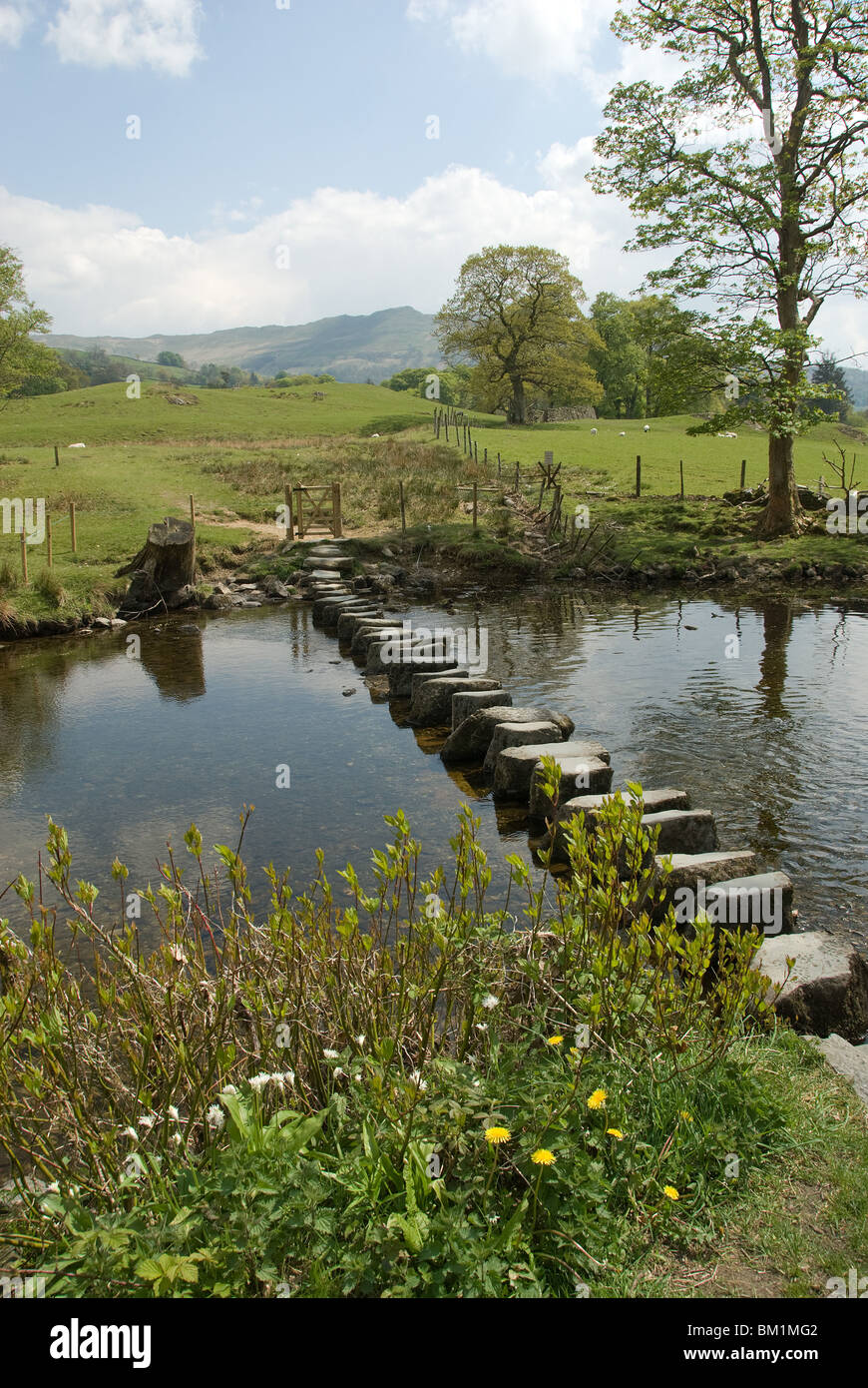 Stepping stones over a river hi-res stock photography and images - Alamy