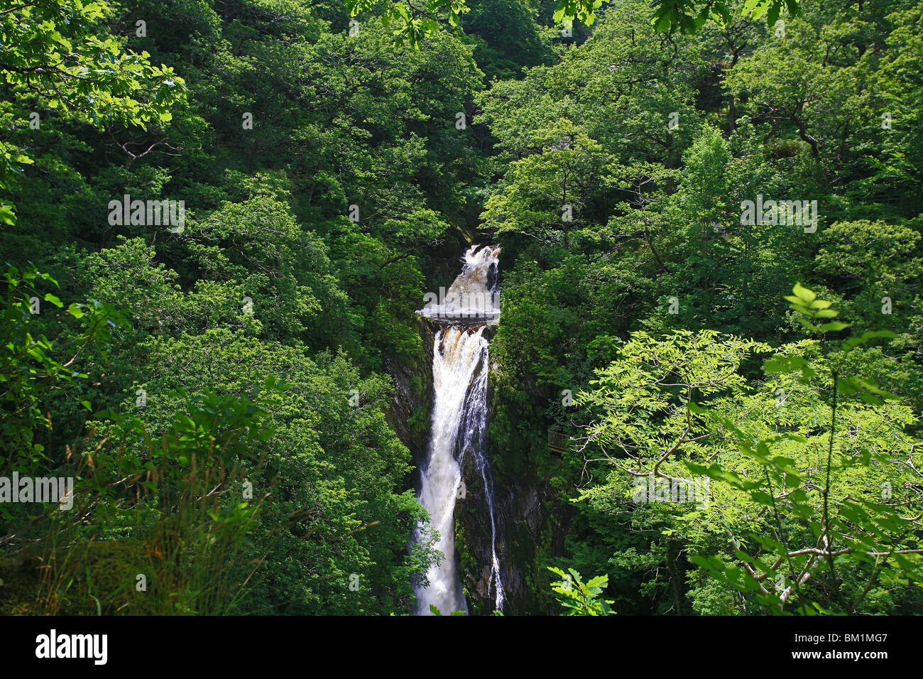 Devils bridge falls hi-res stock photography and images - Alamy