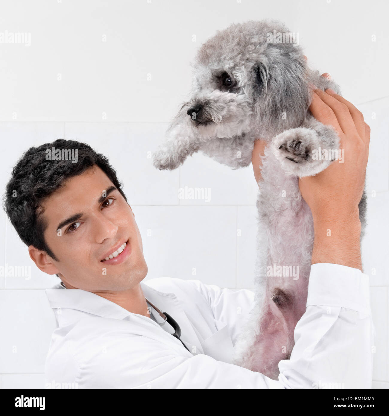 Vet carrying a dog Stock Photo - Alamy