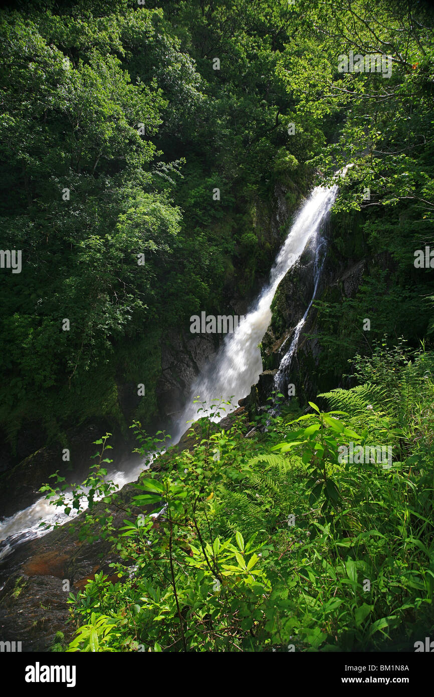 Devil's bridge mynach falls hi-res stock photography and images - Alamy