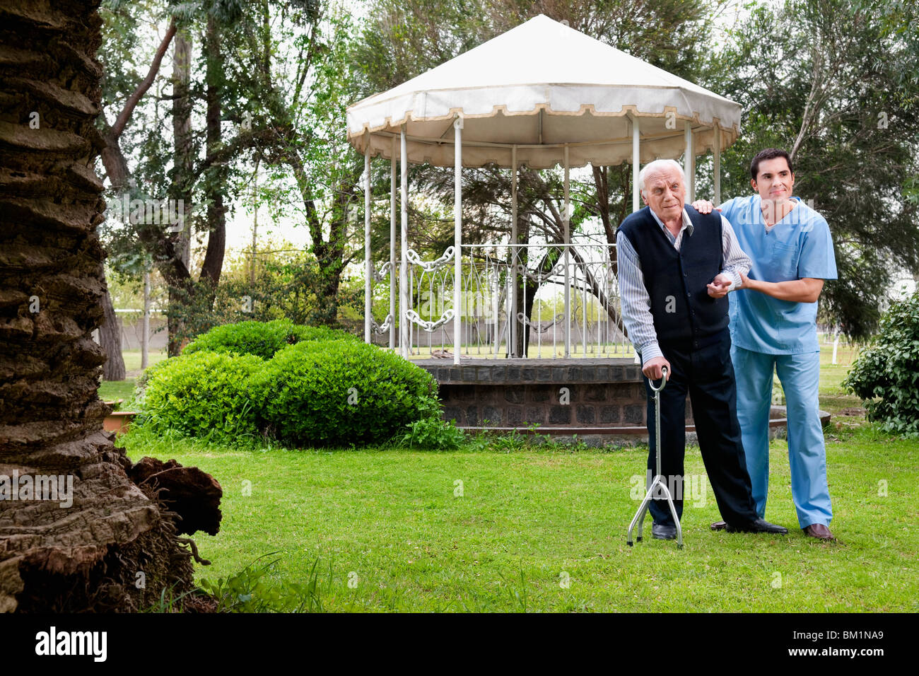 Patient tree hi-res stock photography and images - Alamy